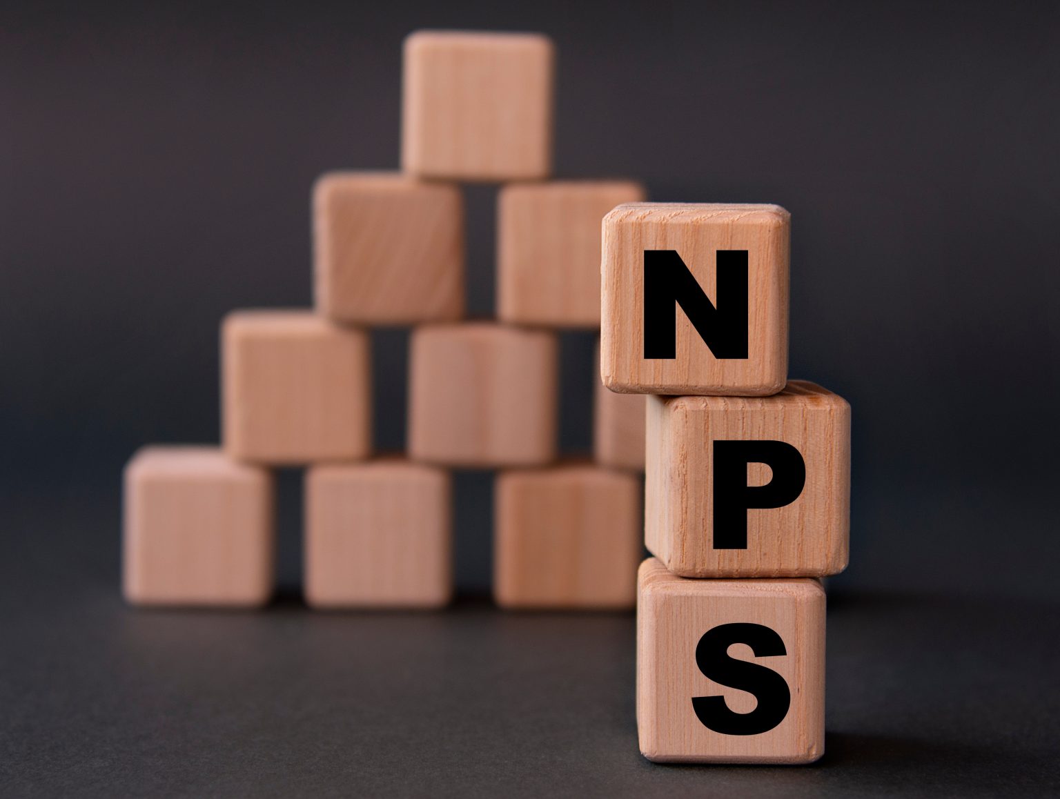 Should You Invest in the NPS? - KFin Technologies Private Limited ...